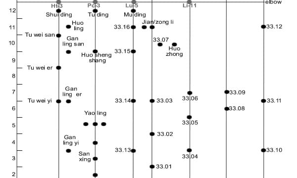 Master Tung’s Acupuncture Channels - 5 zang Channels