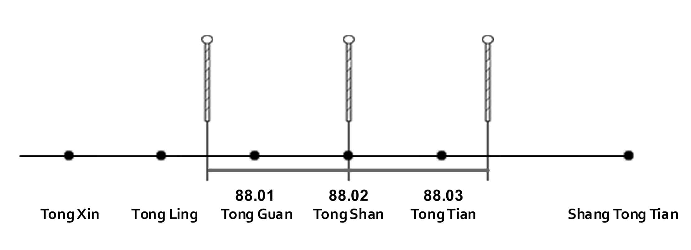 Mastering the Dao Ma Grouping Technique: A Practical Clinical Guide