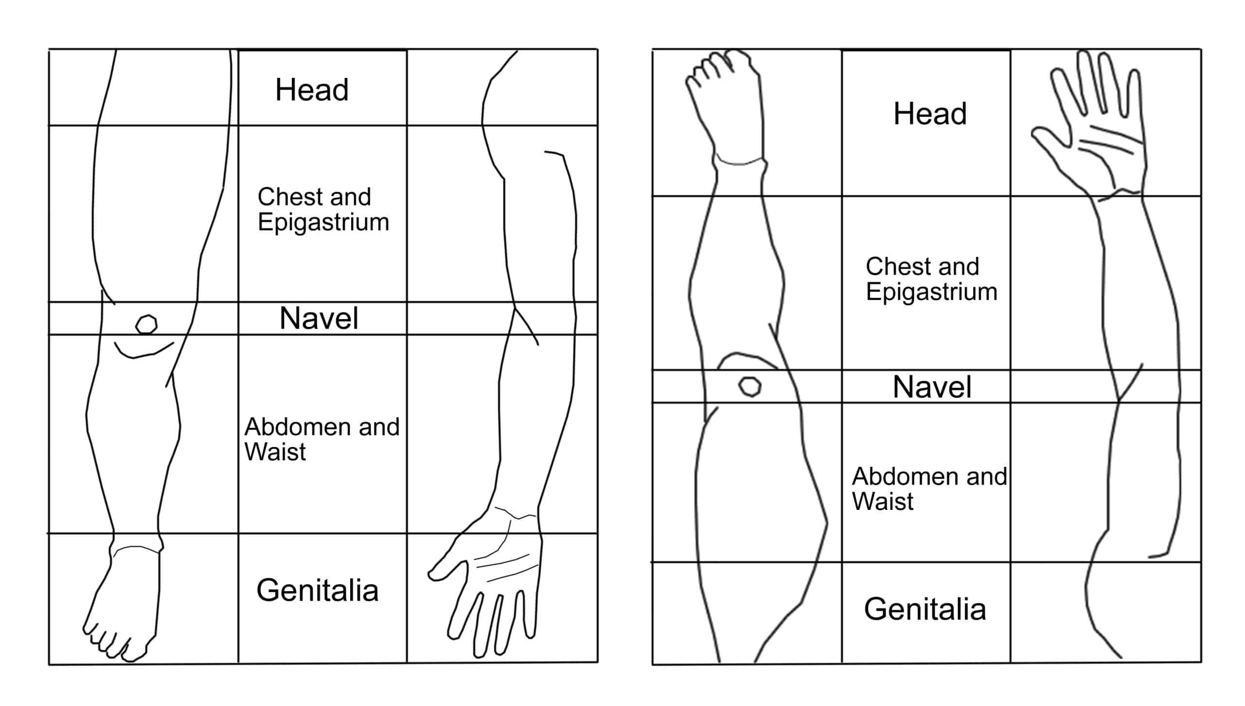Imaging – Holographic Acupuncture - Master Tung's Acupuncture