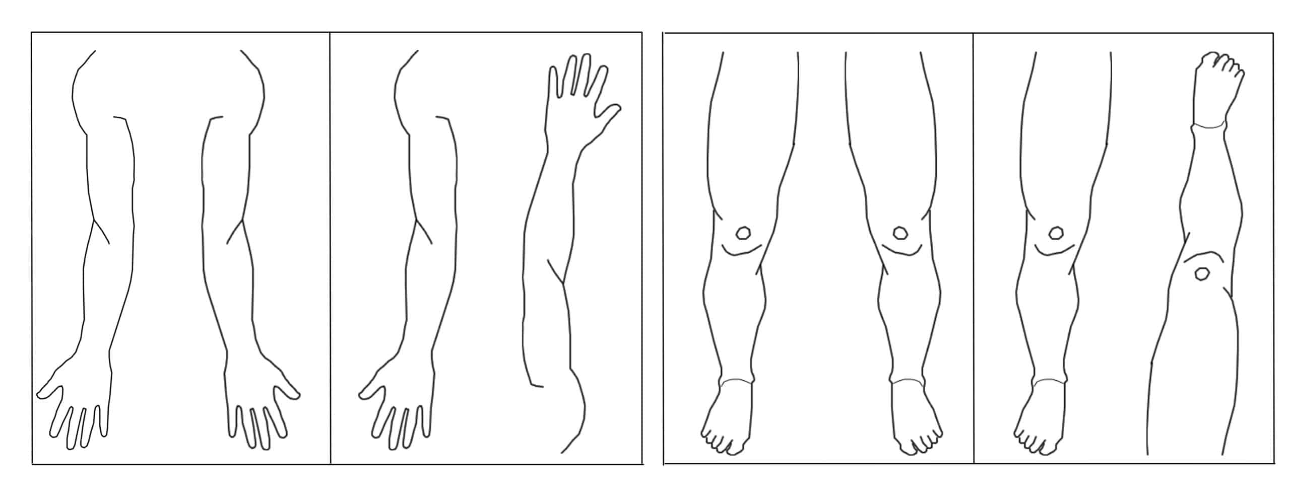 Imaging – Holographic Acupuncture - Master Tung's Acupuncture